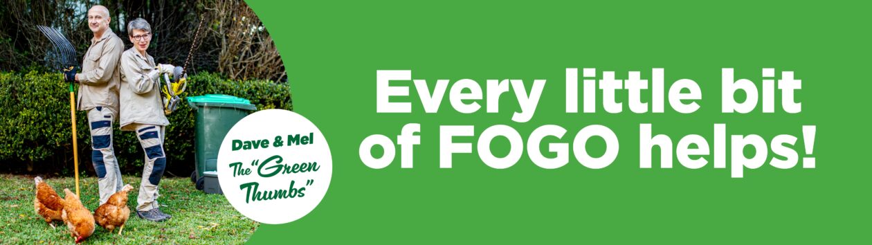 FOGO - Wollongong Waste